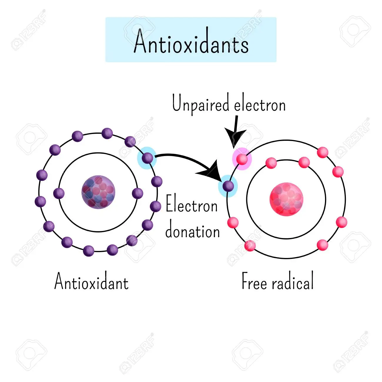 127219319-chemical-diagram-showing-antioxidant-dinates-electron-to-free ...