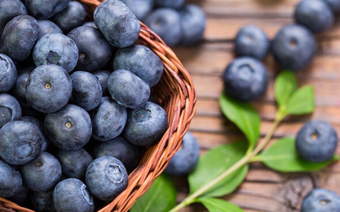 tang-cuong-thi-luc-voi-thuc-pham-lanh-manh-03