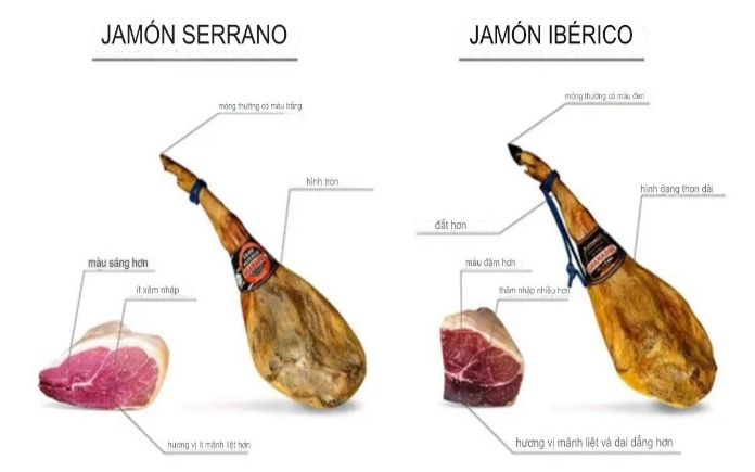 phan-biet-dui-heo-muoi-iberico-va-serrano-nhu-the-nao-1