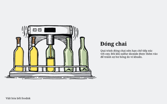 Tìm hiểu về Quy trình sản xuất rượu vang trắng