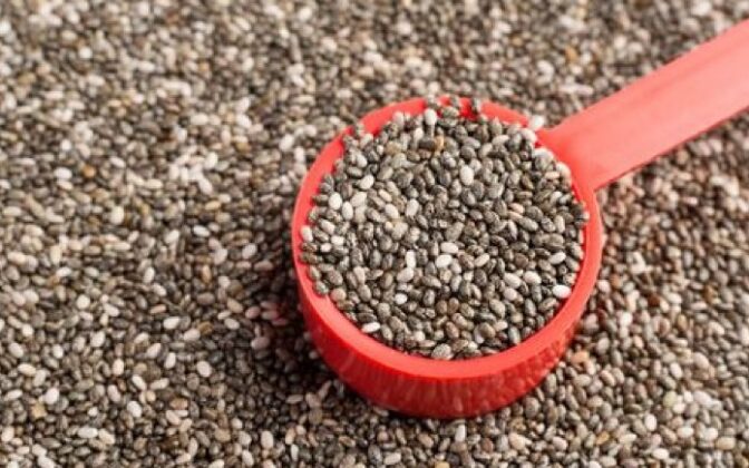 Những điều bạn cần biết khi tìm hiểu về hạt Chia